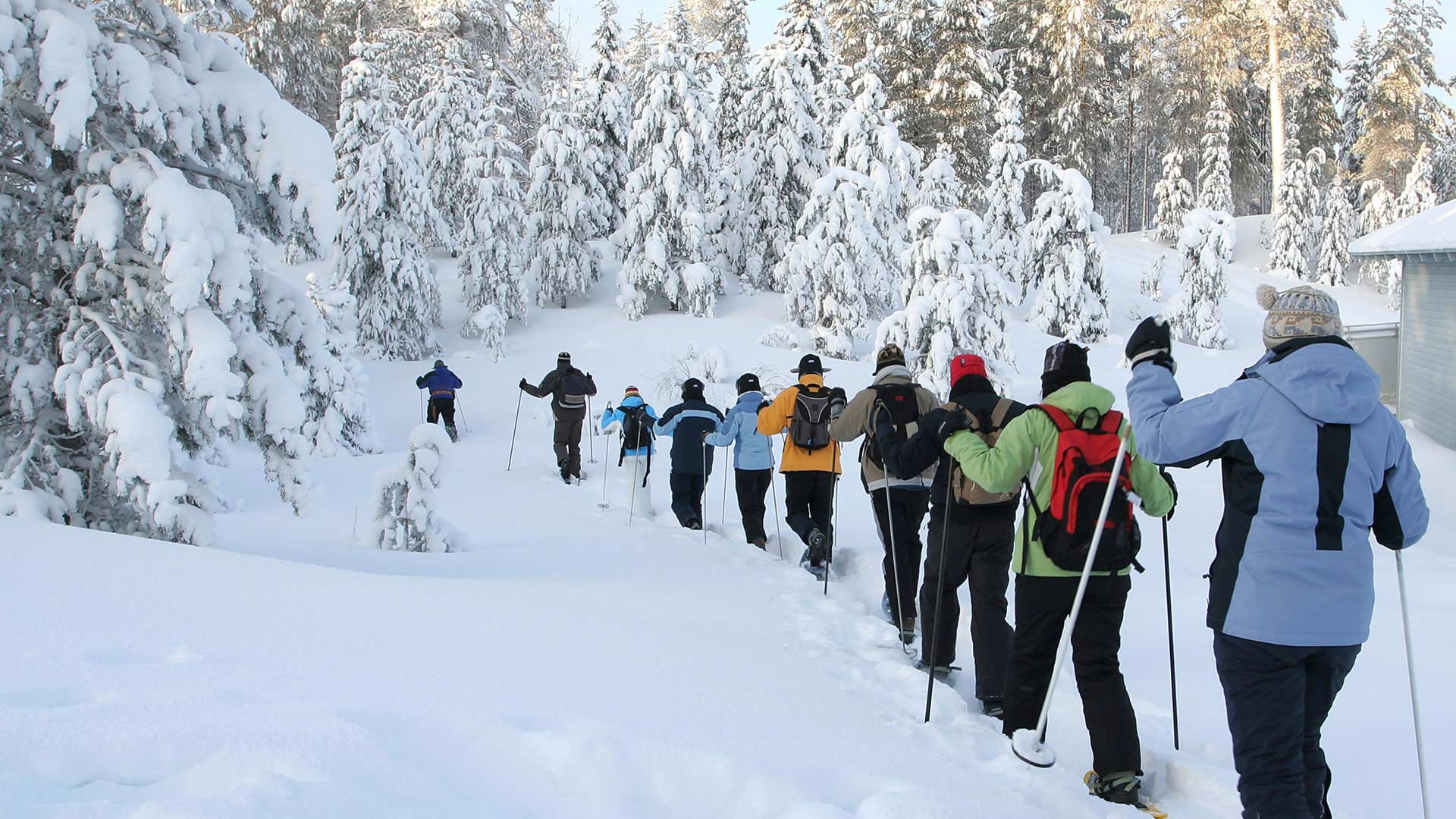 Active Lapland Tours & Holidays 2026/2027 : Nordic Visitor