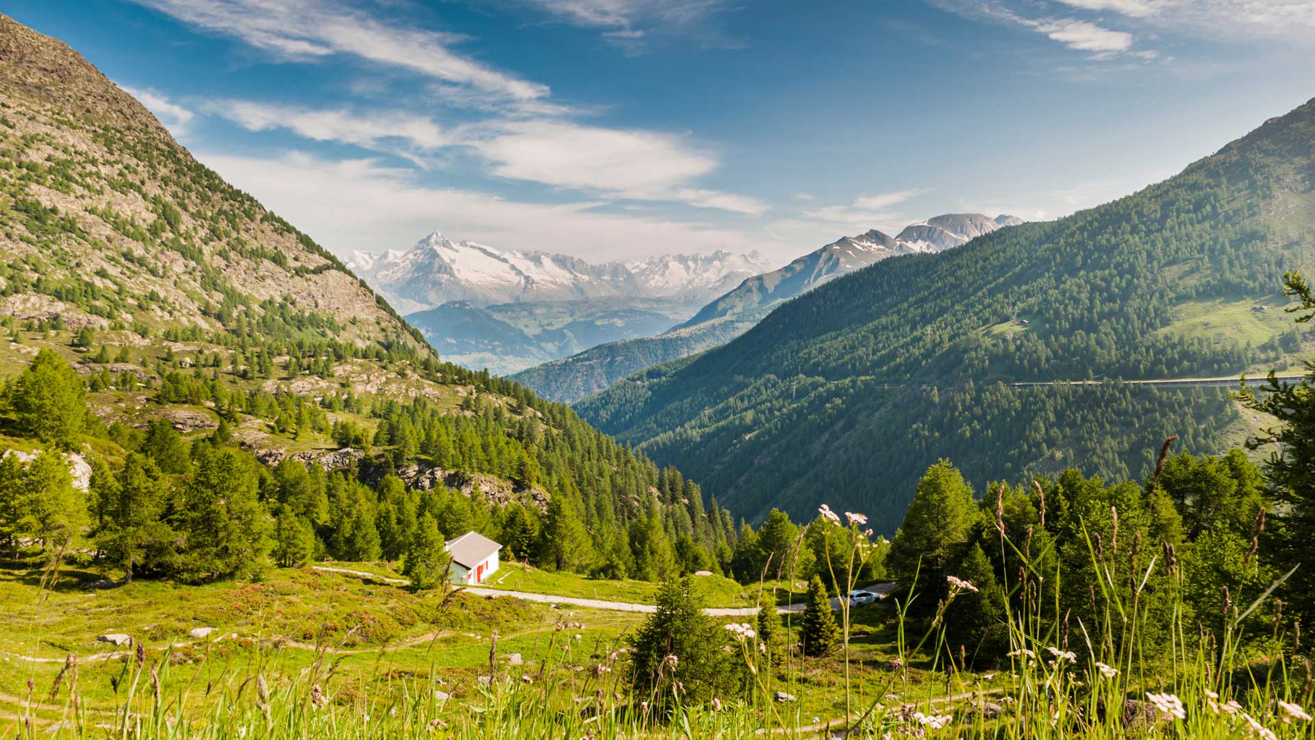 Multi-Country Alps Tours : Nordic Visitor