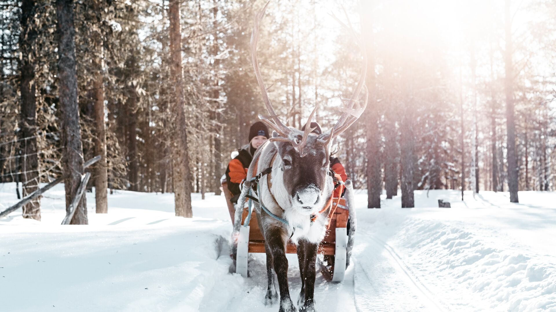 13 Best Places in Europe for Christmas : Nordic Visitor